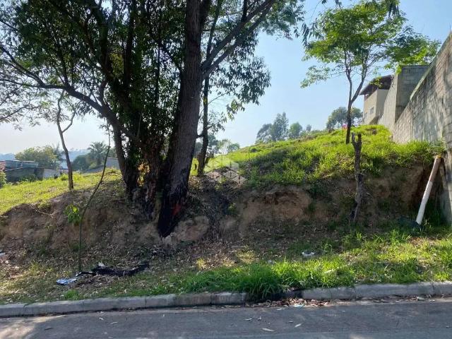 Terreno / Lote para Venda em Mairiporã/SP Jardim Odorico