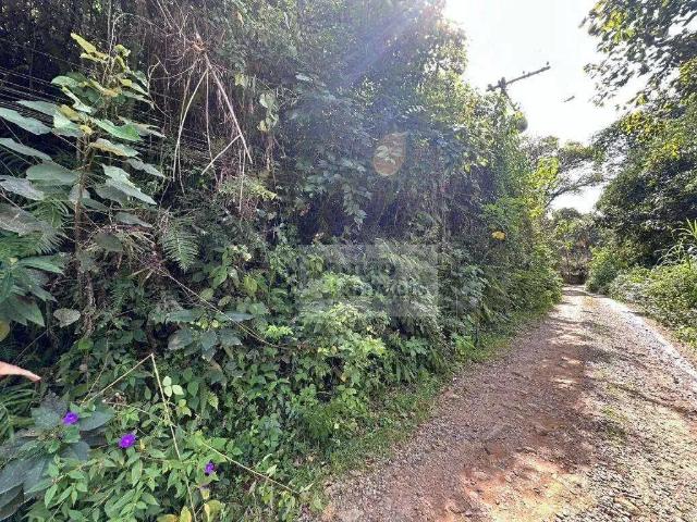 Terreno / Lote para Venda em Mairiporã/SP Jardim Marisol
