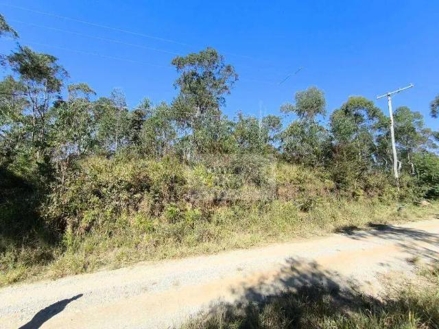 Terreno / Lote para Venda em Mairiporã/SP Jardim Marisol