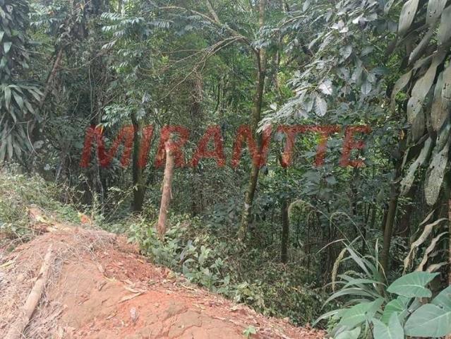 Terreno / Lote para Venda em Mairiporã/SP Jardim Samambaia