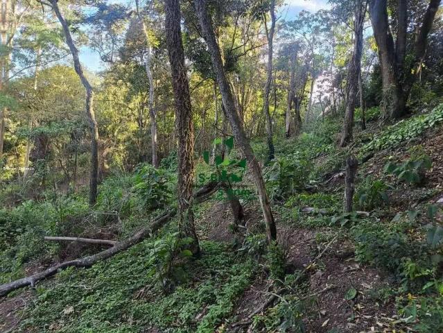 Terreno / Lote para Venda em Mairiporã/SP Jardim Paraíso