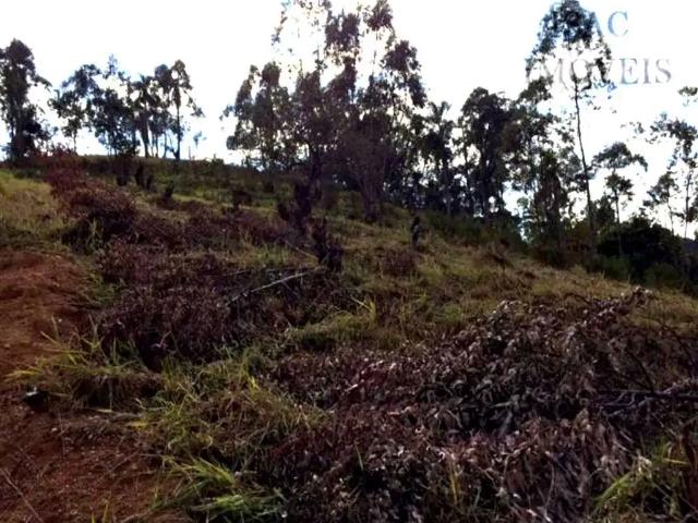 Terreno / Lote para Venda em Mairiporã/SP Jundiaizinho