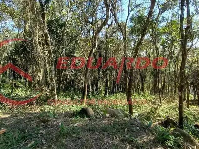 Terreno / Lote para Venda em Mairiporã/SP Mato Dentro