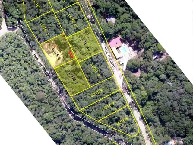 Terreno / Lote para Venda em Mairiporã/SP Mato Dentro