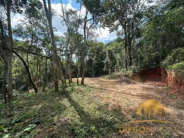 Terreno / Lote para Venda em Mairiporã/SP Mato Dentro