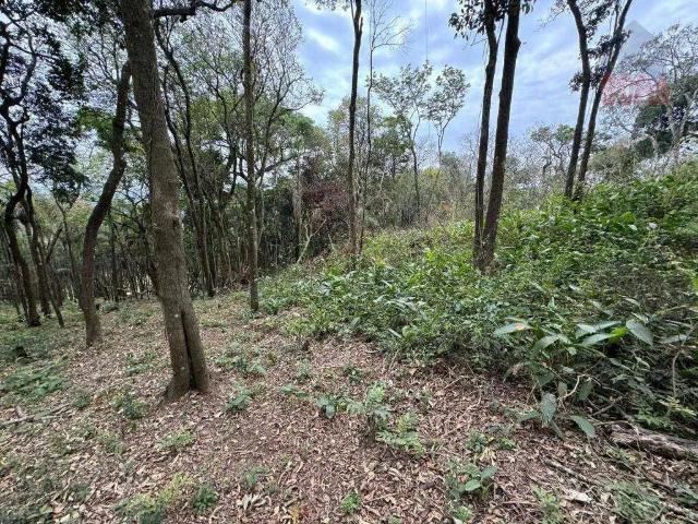 Terreno / Lote para Venda em Mairiporã/SP Mato Dentro