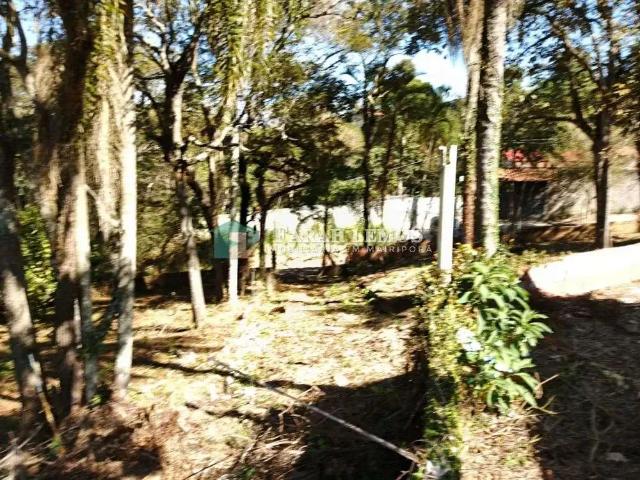 Terreno / Lote para Venda em Mairiporã/SP Mato Dentro