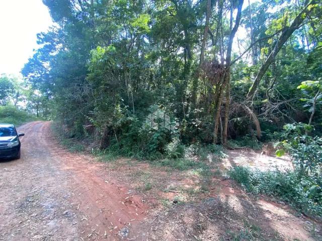 Terreno / Lote para Venda em Mairiporã/SP Mato Dentro