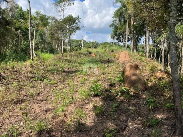 Terreno / Lote para Venda em Mairiporã/SP Mato Dentro
