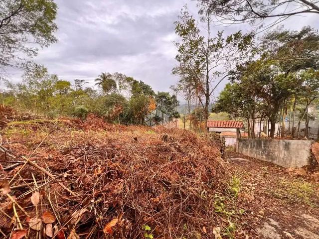 Terreno / Lote para Venda em Mairiporã/SP Mato Dentro