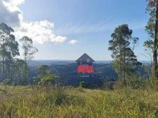 Terreno / Lote para Venda em Mairiporã/SP Mato Dentro