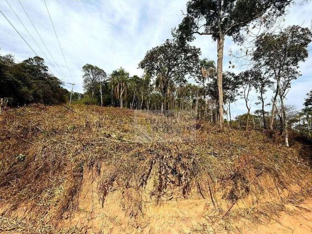 Terreno / Lote para Venda em Mairiporã/SP Mato Dentro