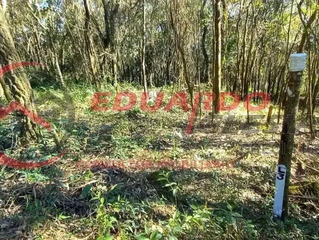 Terreno / Lote para Venda em Mairiporã/SP Olho D'Água