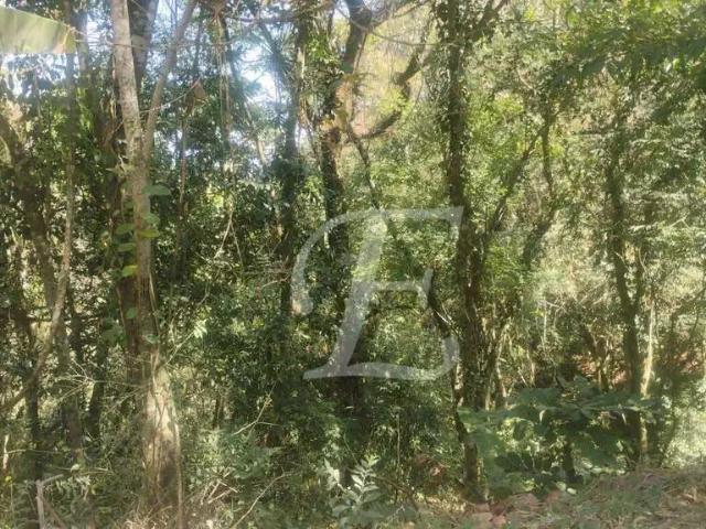 Terreno / Lote para Venda em Mairiporã/SP Olho D'Água