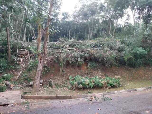 Terreno / Lote para Venda em Mairiporã/SP Olho D'Água