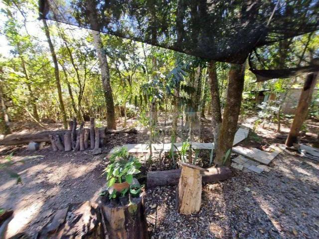 Terreno / Lote para Venda em Mairiporã/SP Paineiras de Mairiporã