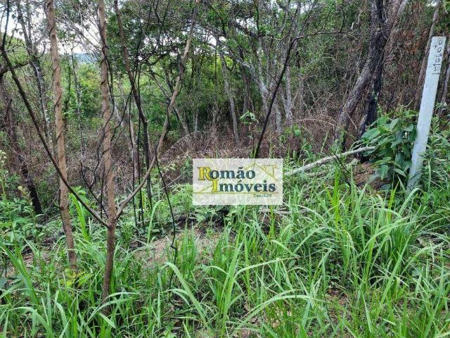 Terreno / Lote para Venda em Mairiporã/SP Paineiras de Mairiporã