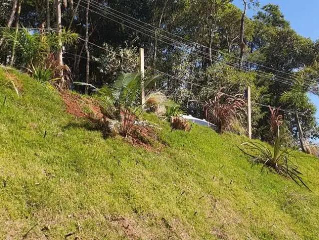 Terreno / Lote para Venda em Mairiporã/SP Parque Germânia