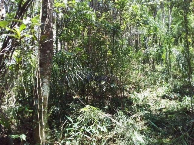 Terreno / Lote para Venda em Mairiporã/SP Parque Petrópolis