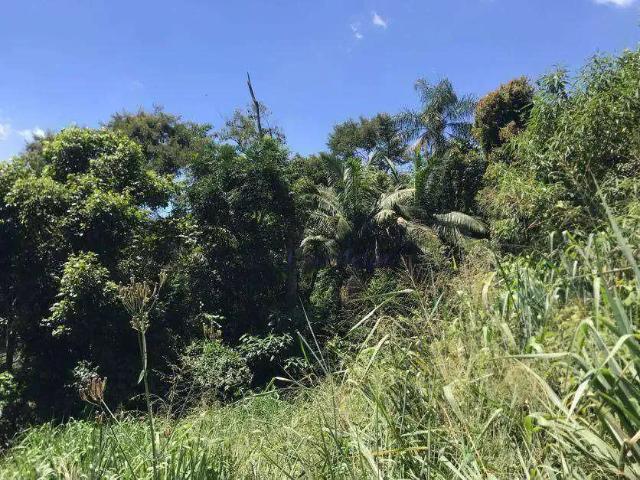 Terreno / Lote para Venda em Mairiporã/SP Parque Petrópolis
