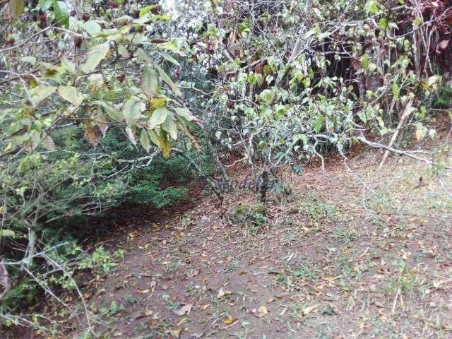 Terreno / Lote para Venda em Mairiporã/SP Parque Petrópolis