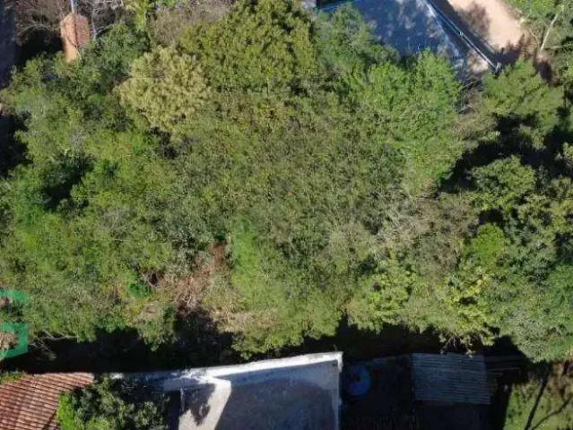Terreno / Lote para Venda em Mairiporã/SP Pirucaia