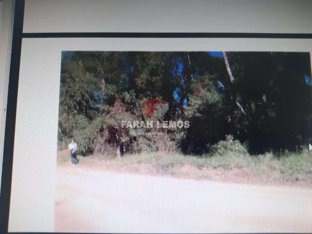 Terreno / Lote para Venda em Mairiporã/SP Pirucaia
