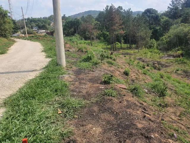 Terreno / Lote para Venda em Mairiporã/SP Pirucaia