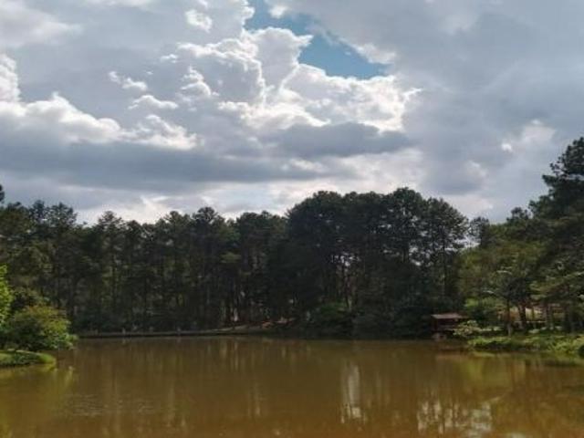 Terreno / Lote para Venda em Mairiporã/SP Pirucaia