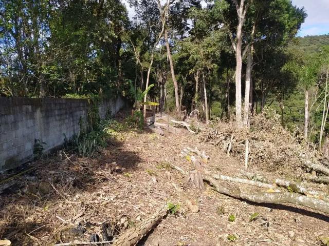 Terreno / Lote para Venda em Mairiporã/SP Pirucaia