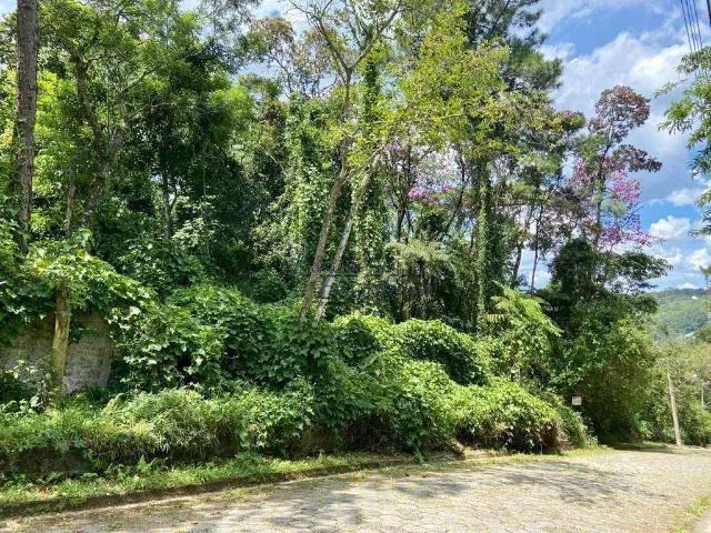 Terreno / Lote para Venda em Mairiporã/SP Roseira