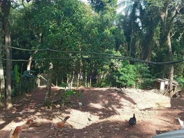 Terreno / Lote para Venda em Mairiporã/SP Roseira