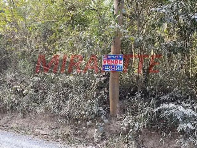 Terreno / Lote para Venda em Mairiporã/SP São Vicente