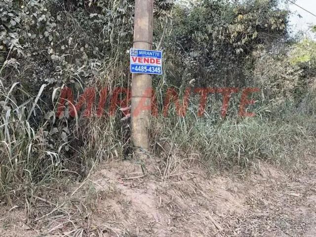 Terreno / Lote para Venda em Mairiporã/SP São Vicente