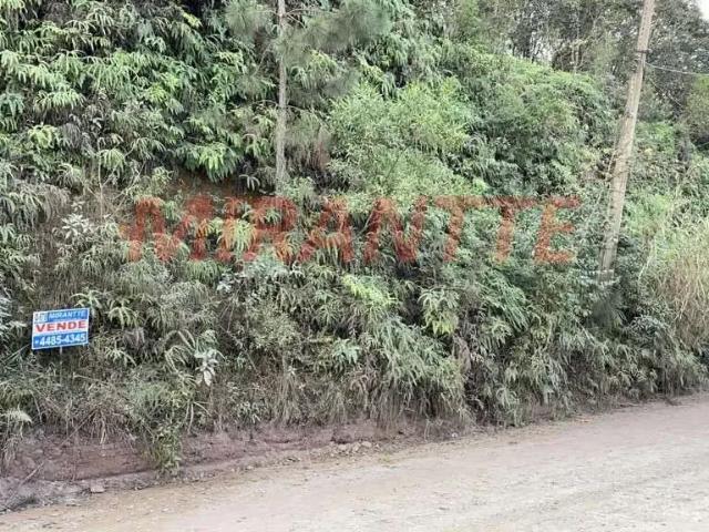 Terreno / Lote para Venda em Mairiporã/SP São Vicente