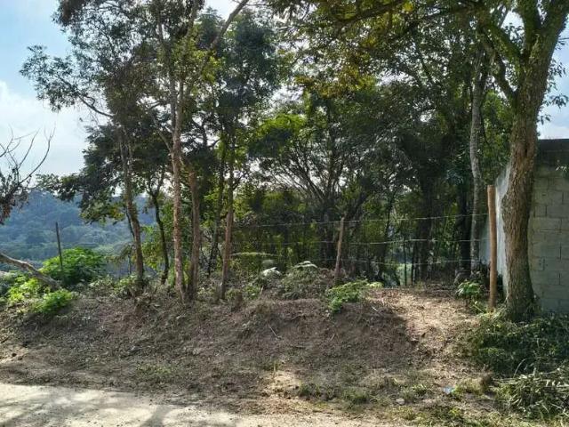 Terreno / Lote para Venda em Mairiporã/SP Santa Inês