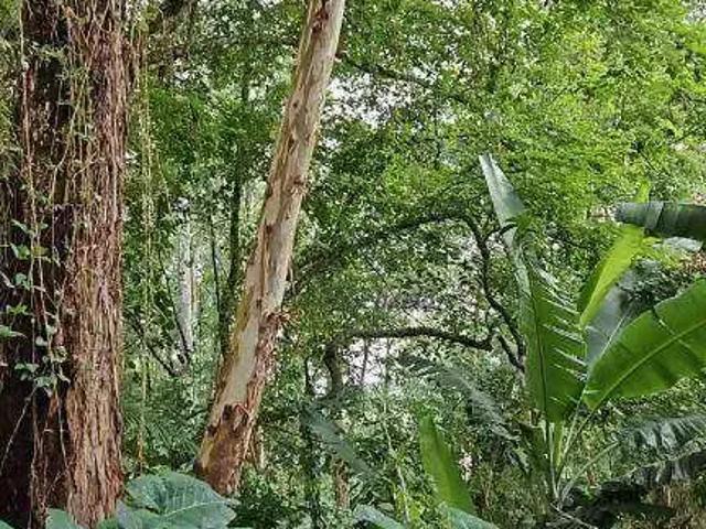 Terreno / Lote para Venda em Mairiporã/SP Sausalito