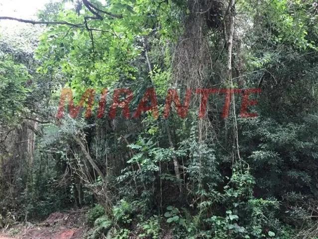 Terreno / Lote para Venda em Mairiporã/SP Serra da Cantareira