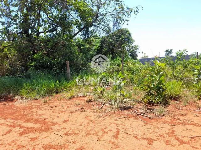 Terreno / Lote para Venda em Martinho Campos/MG Lagoa dos Buritis