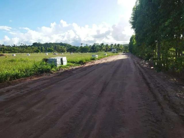 Terreno / Lote para Venda em Maragogi/AL Barra Grande