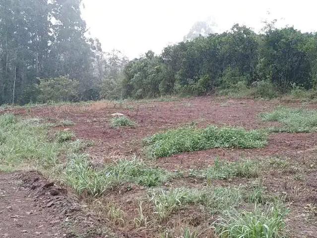 Terreno / Lote para Venda em Maratá/RS Esperança
