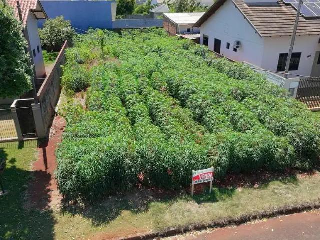 Terreno / Lote para Venda em Marechal Cândido Rondon/PR Sao Lucas