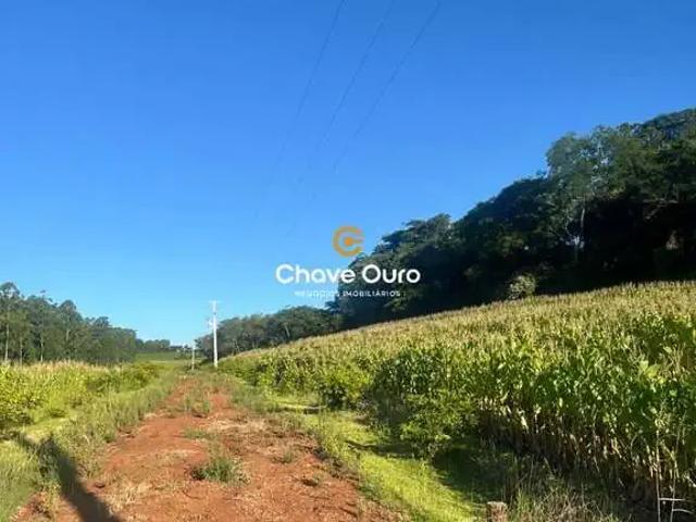 Terreno / Lote para Venda em Marechal Cândido Rondon/PR Zona Rural