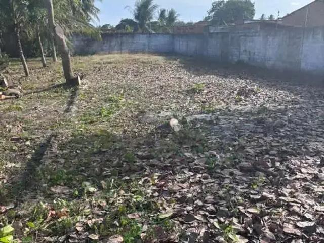 Terreno / Lote para Venda em Marechal Deodoro/AL Massagueira de Baixo