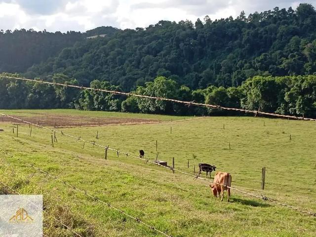 Terreno / Lote para Venda em Marema/SC Centro