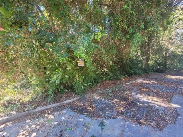 Terreno / Lote para Venda em Maricá/RJ Balneário Bambuí Ponta Negra