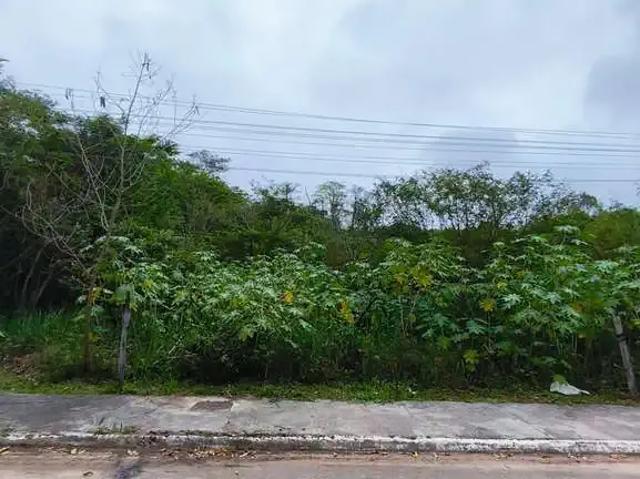 Terreno / Lote para Venda em Maricá/RJ Cajueiros Itaipuaçu