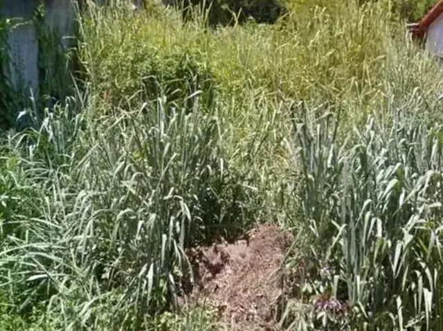 Terreno / Lote para Venda em Maricá/RJ Centro