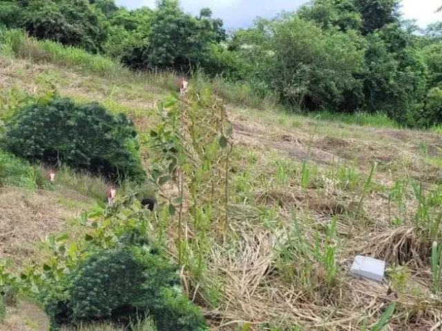 Terreno / Lote para Venda em Maricá/RJ Flamengo
