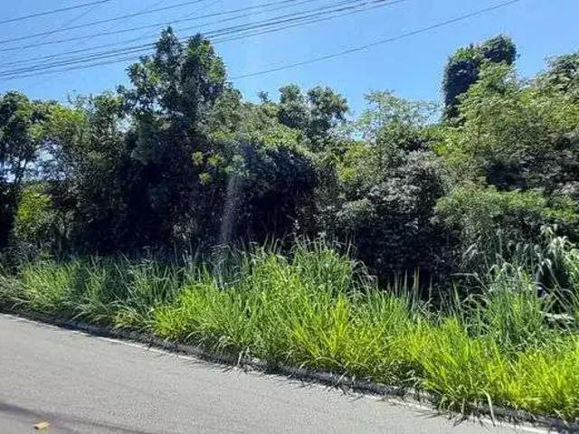 Terreno / Lote para Venda em Maricá/RJ Guaratiba Ponta Negra